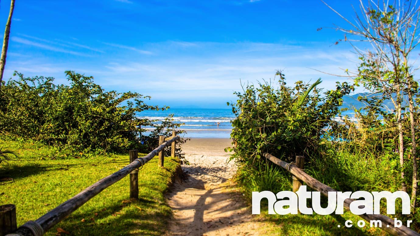 Praia da Lagoinha Ubatuba Guia 2024 NATURAM