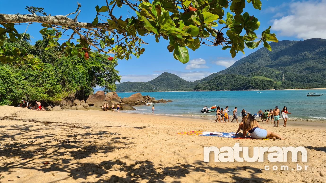 ILHA DO PRUMIRIM Ubatuba, um lugar incrível! NATURAM